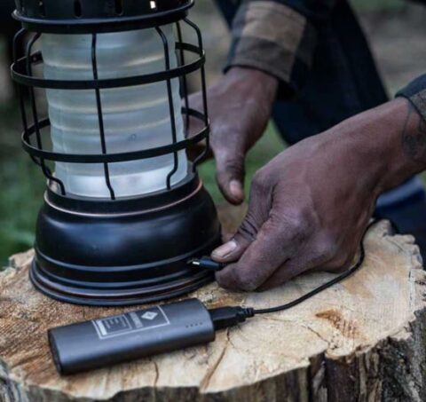 Barebones Lantern - Forest Light V1.2 - Antique Bronze - Tree & Arbor ...
